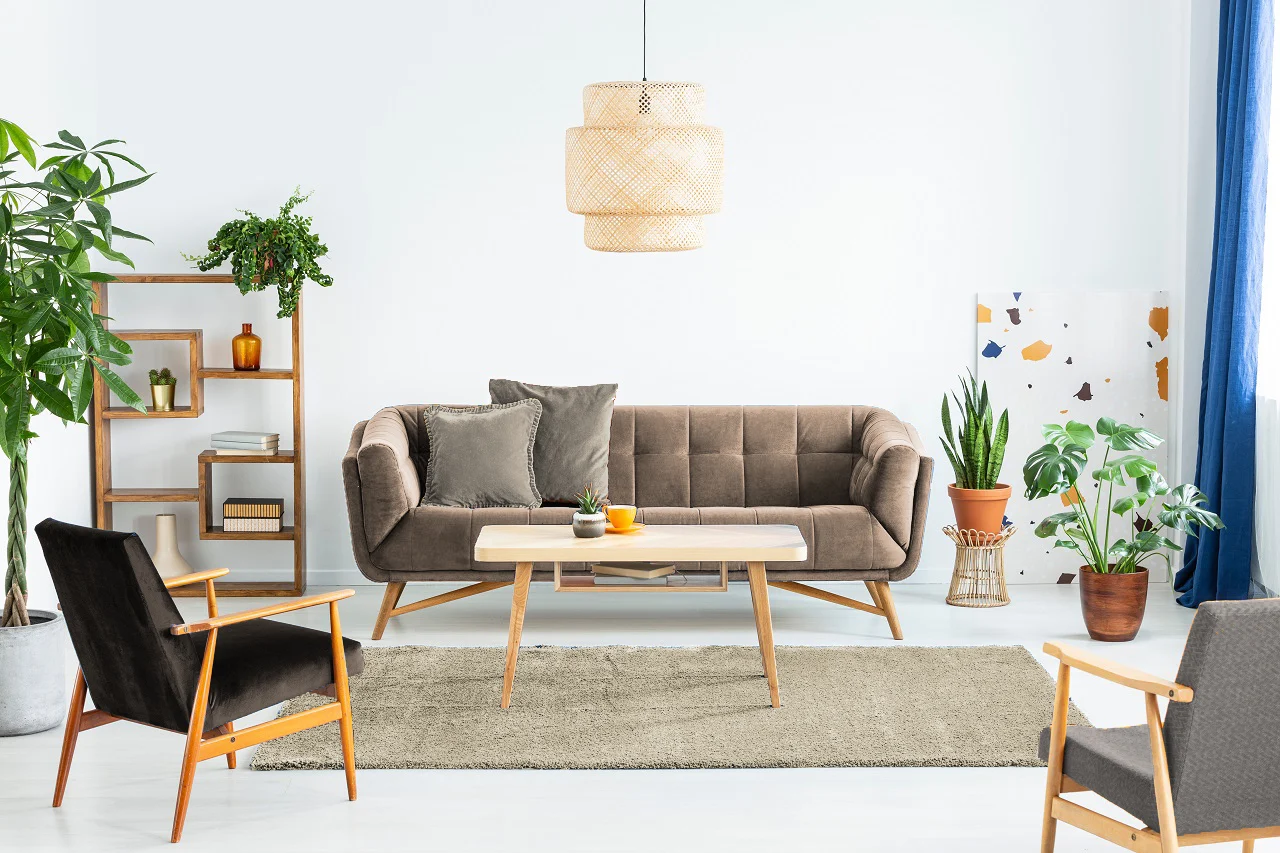 Discover the Perfect Rug for Your Taupe Couch: 20 Gorgeous Colors and ...