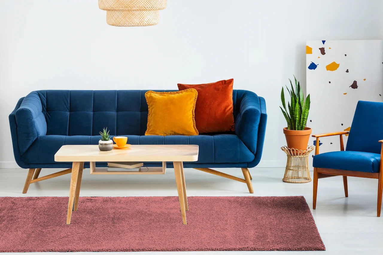 20 Rug Color Ideas for Gray Couches with Interior Photos