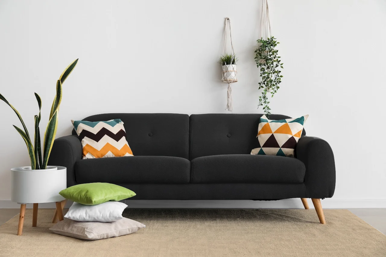 Top 19 Rug Colors to Complement Your Black Furniture