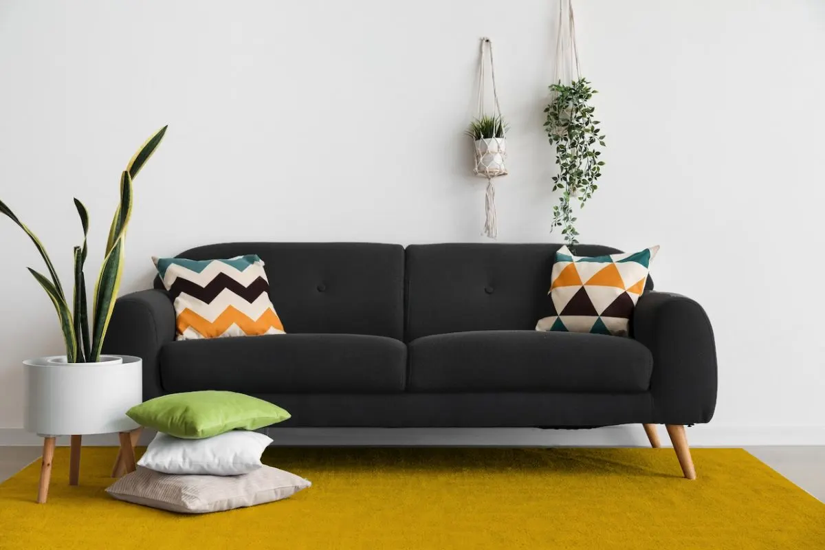 Top 19 Rug Colors to Complement Your Black Furniture