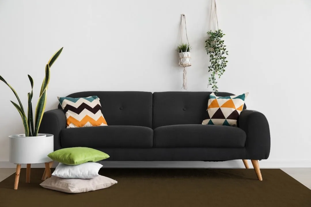 Top 19 Rug Colors to Complement Your Black Furniture