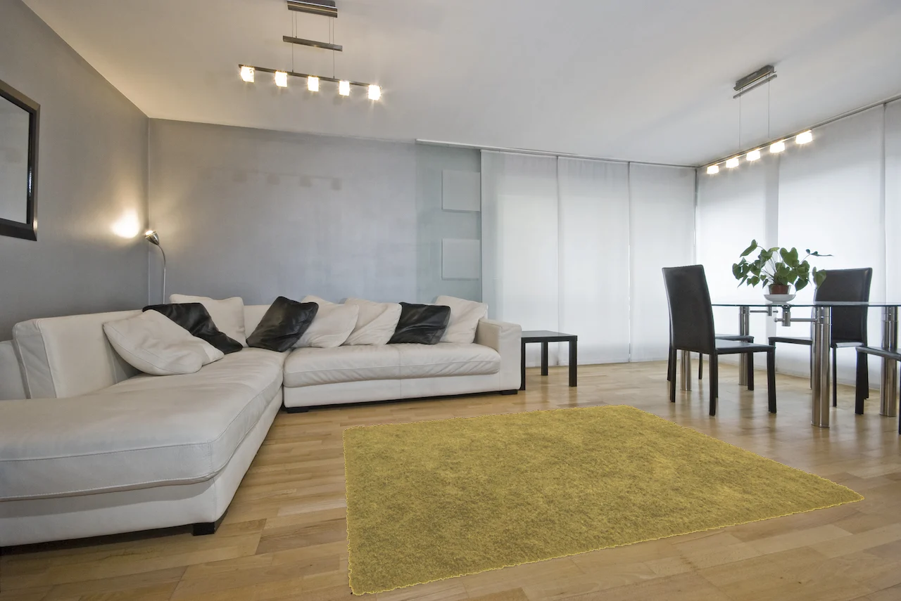 Discover the Top 16 Rug Colors for Light Wood Floors